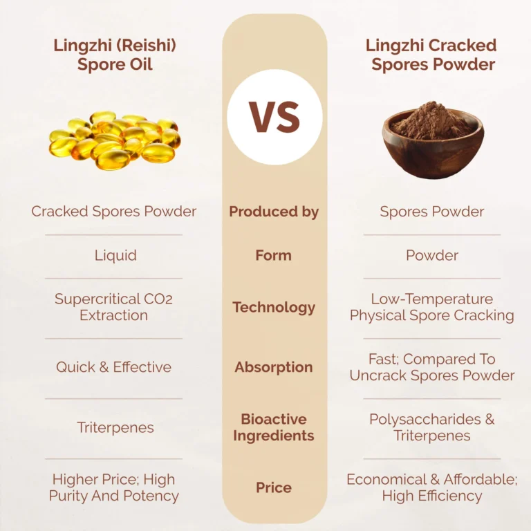 Reishi Spore Oil Vs. Reishi Cracked Spores Powder (2024)